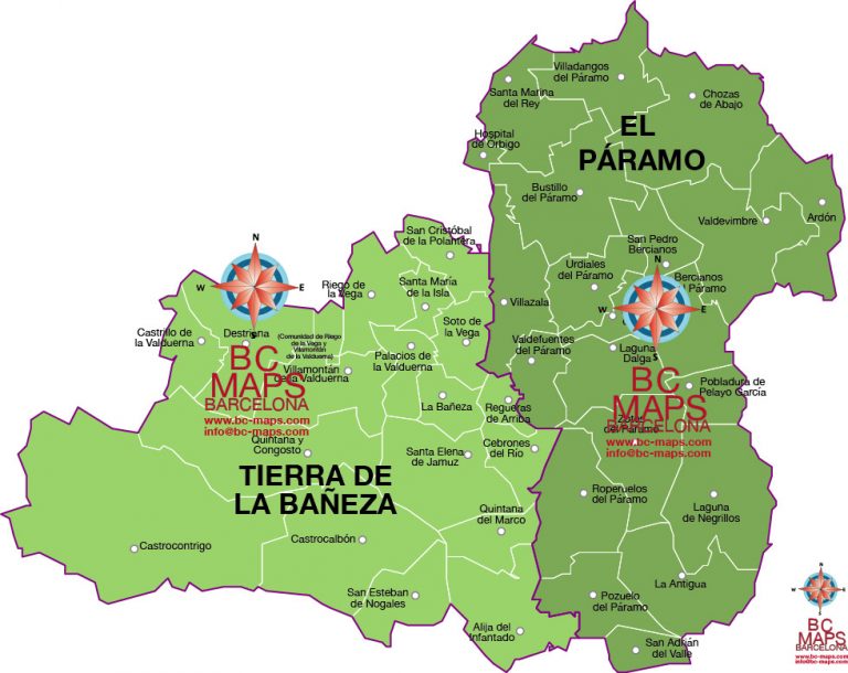Municipios de León mapa vectorial illustrator eps | Bc Maps mapa ...