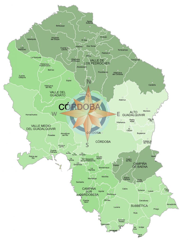 Mapa de los municipios de Córdoba formato editable vectorial ...