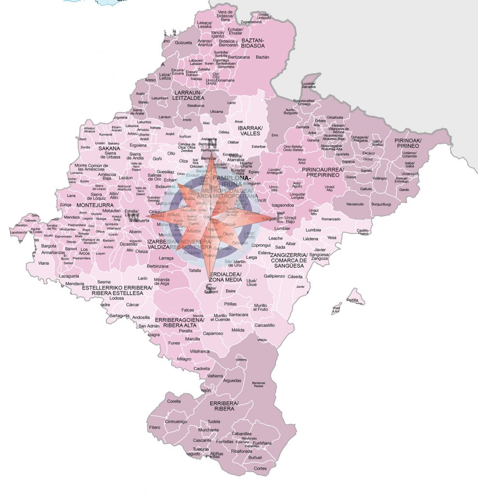 Mapa de municipios de la Comunidad Foral de Navarra vectorial