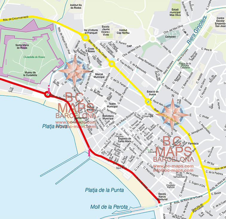 Roses mapa vectorial editable eps illustrator ai